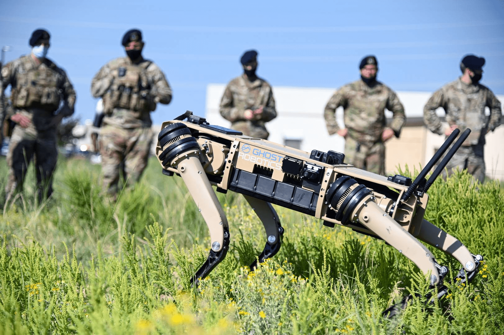 HOW DID AMERICAN STARTUP CREATE A COMBAT DOG ROBOT? - philadelphia ...